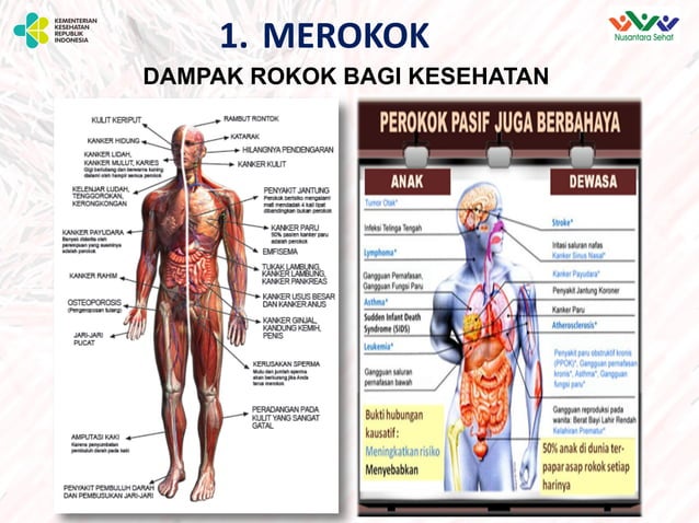 Faktor risiko ptm ns 2020 ok | PDF