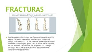 Falanges i(1) | PPTX