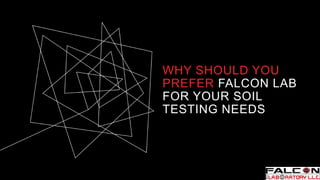 FALCON LAB: NURTURING DUBAI'S GREEN DREAMS THROUGH PRECISE SOIL TESTING ...