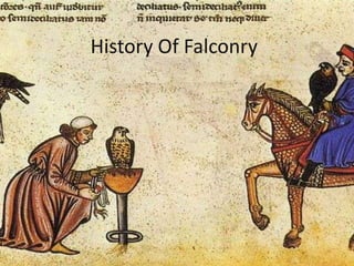 Falconry | PPTX