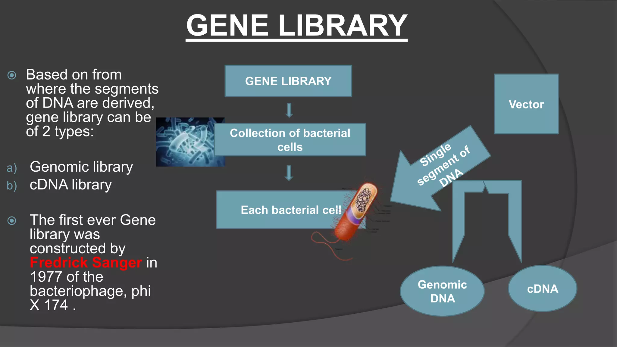 Gene Libraries | PPTX