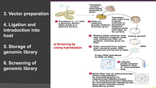 Gene Libraries | PPTX