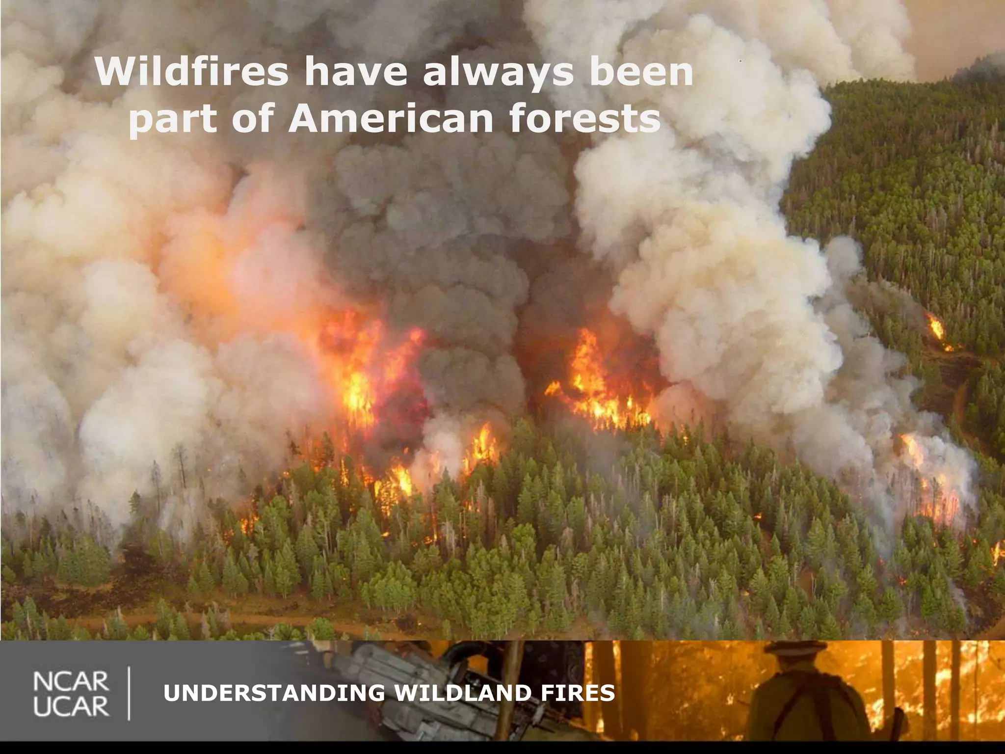 Wildfires past, present, and future | PPTX
