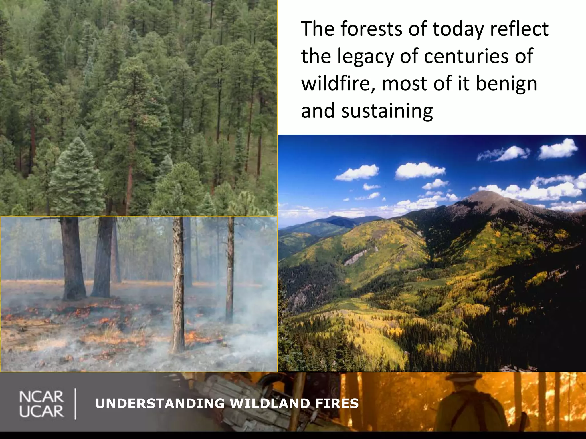 Wildfires past, present, and future | PPTX