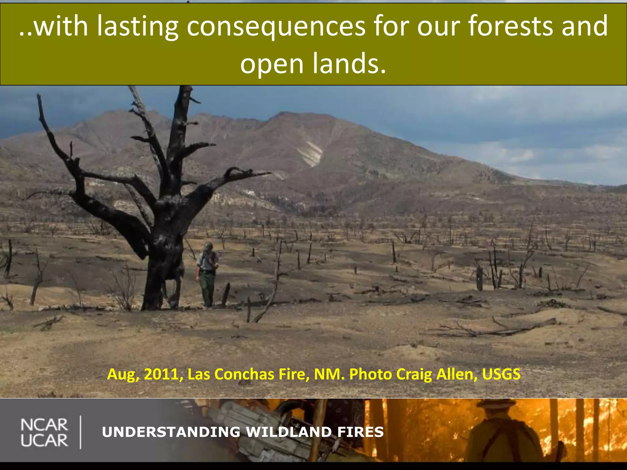 Wildfires past, present, and future | PPTX