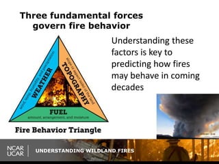 Wildfires past, present, and future | PPTX | Geography | Science