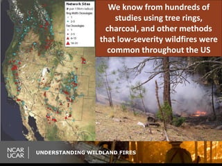Wildfires past, present, and future | PPTX | Geography | Science