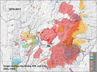 Wildfires past, present, and future | PPTX | Geography | Science