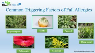 Fall Allergy Symptoms And Treatment | PPT