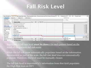 Fall-Prevention in the patient ......pdf | Medical Health