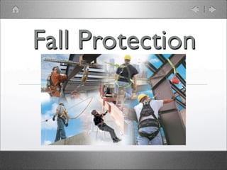 Fall Protection | PDF