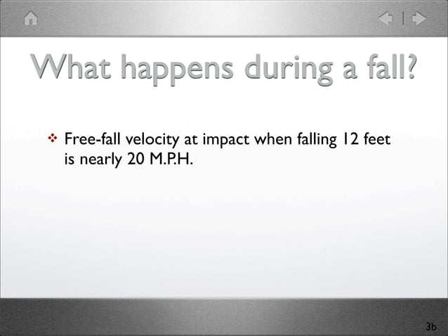 Fall Protection | PDF | Weight Loss | Healthy Living