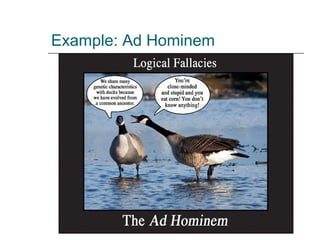 Ad Hominem Advertisements Examples