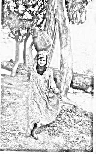 The Egyptian female farmer (Fallaha) | PDF