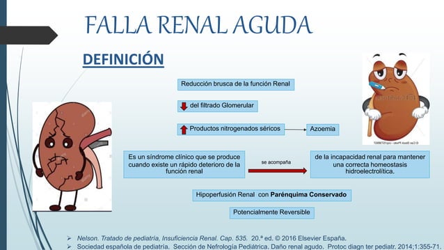 Falla renal aguda pediatrica