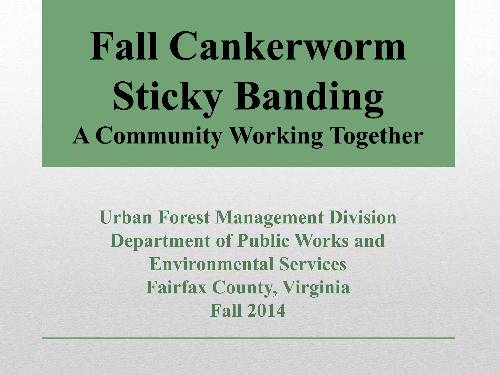 Fall Cankerworm Sticky Banding: A Community Working Together | PPTX ...