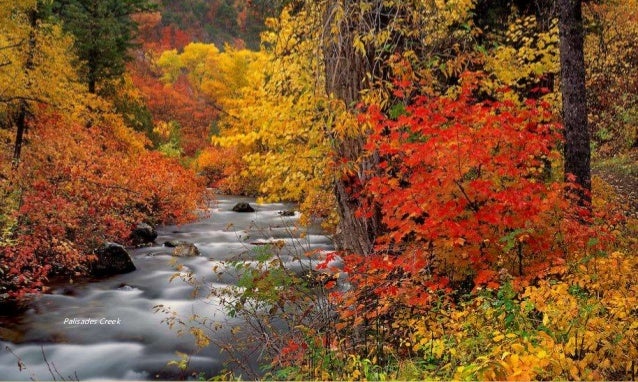 Fall Colors in Idaho