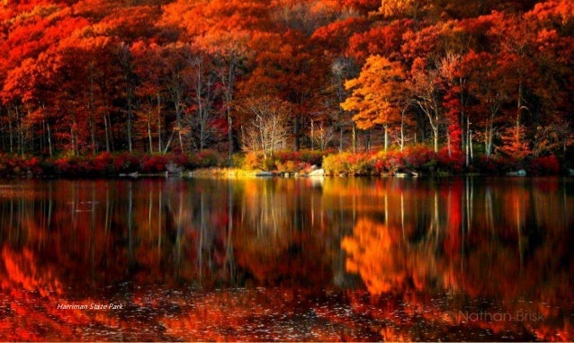 Fall Colors in Idaho