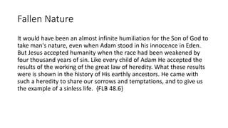 Fallen nature | PPTX