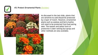 Fall Gardening Checklist | PPTX