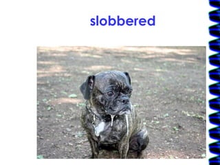 Falling asleep poem | PPT