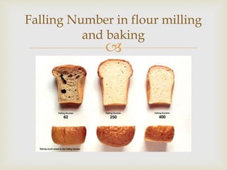 Falling number | PPTX