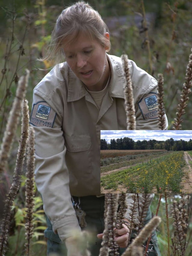 Fall magazine 09 | PDF