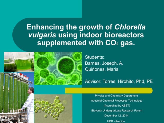 PowerPoint Presentation for Microalgae Undergraduate Research Project at UPRA for Fall Semester ...
