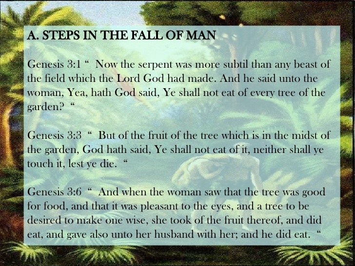 Fall Of Man
