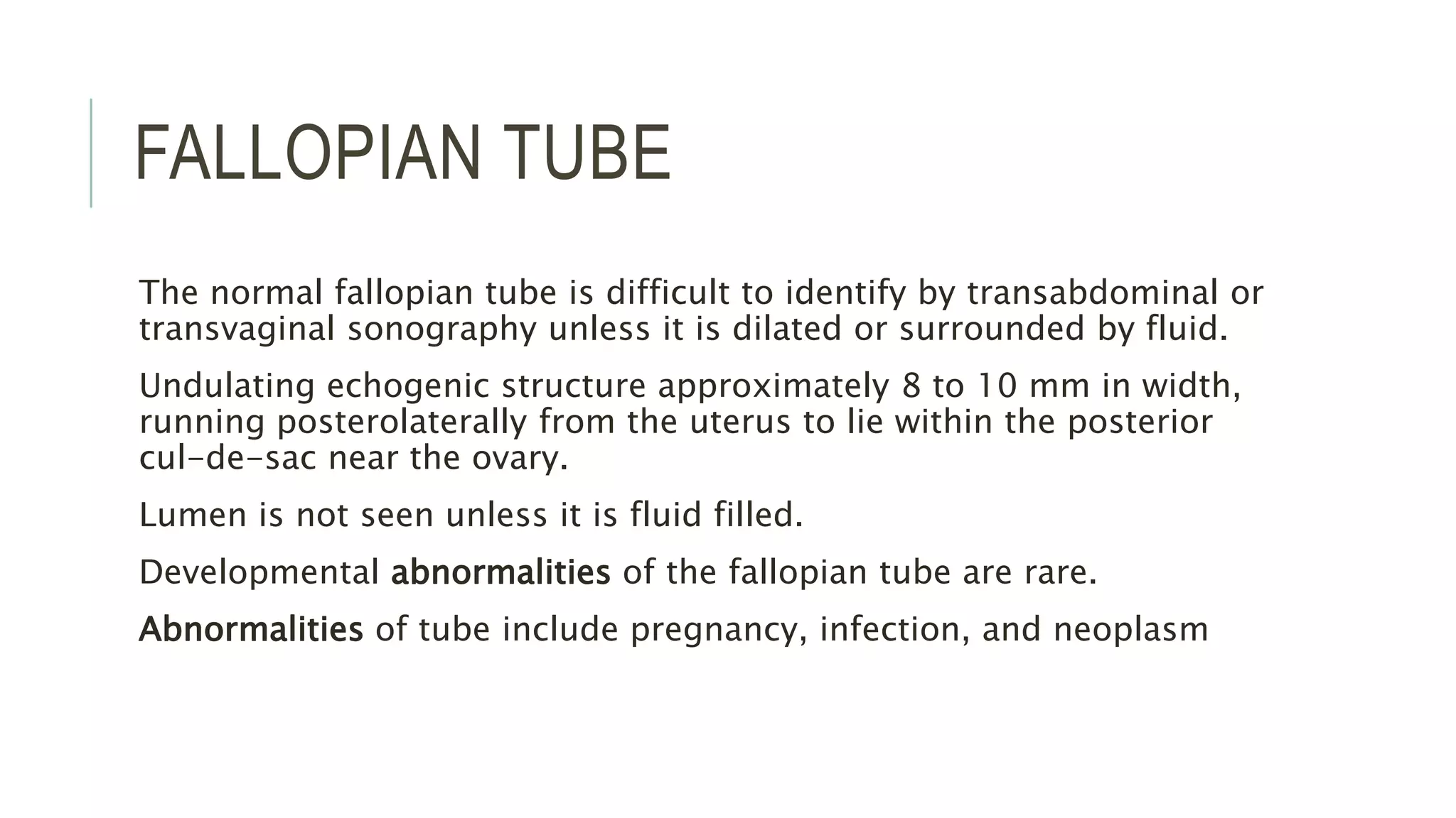 Fallopian tube Imaging Radiology | PPTX
