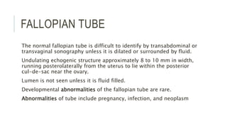 Fallopian tube Imaging Radiology | PPTX