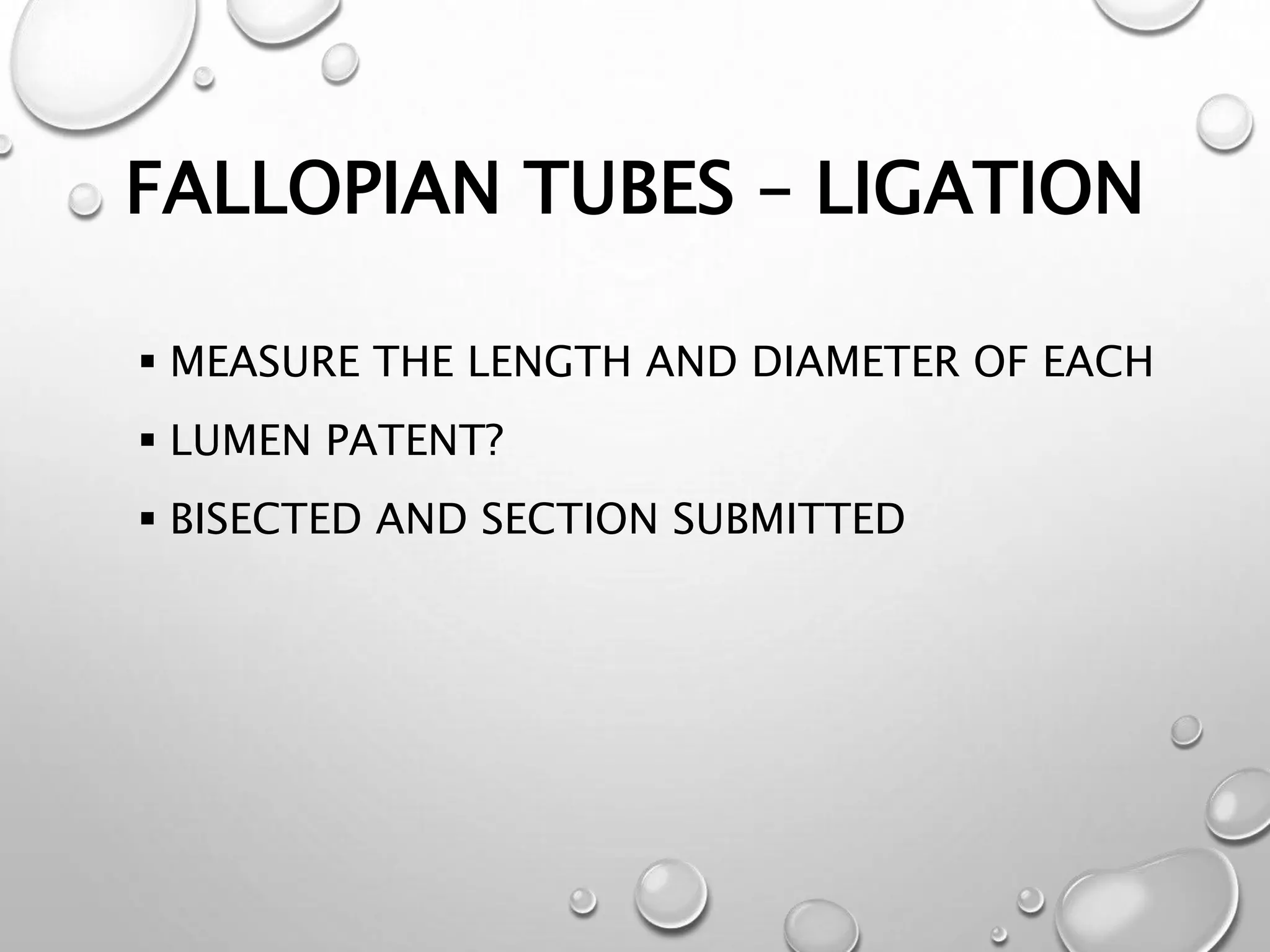 fallopian tube and ovary.pptx