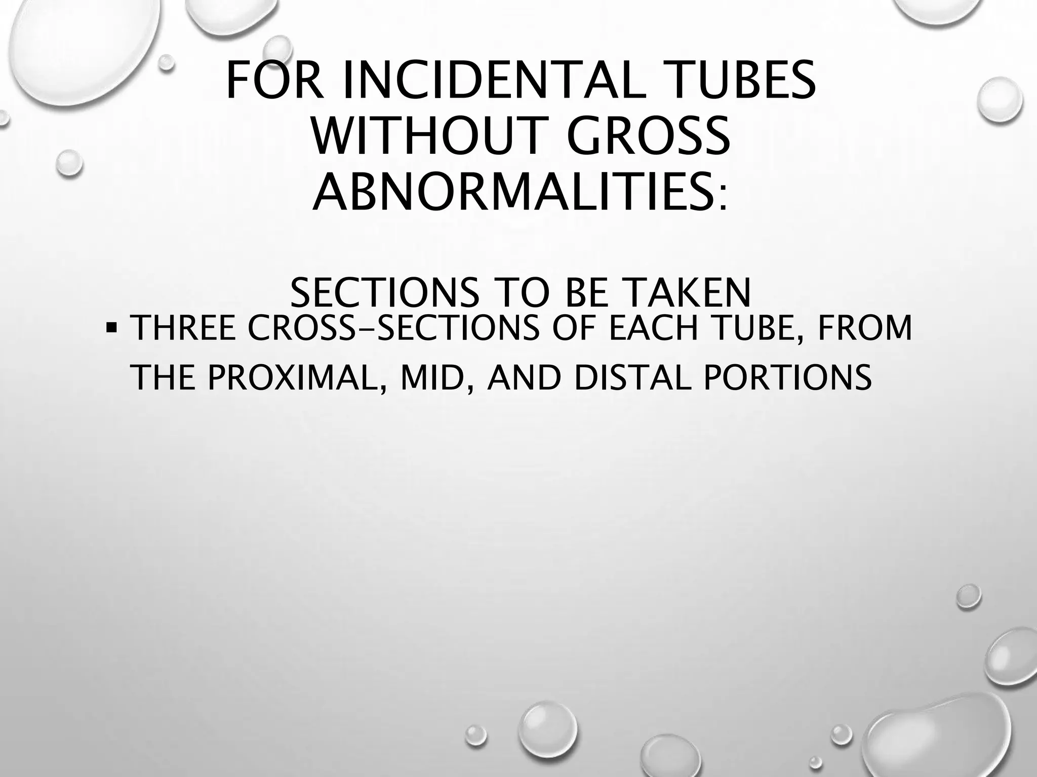 fallopian tube and ovary.pptx