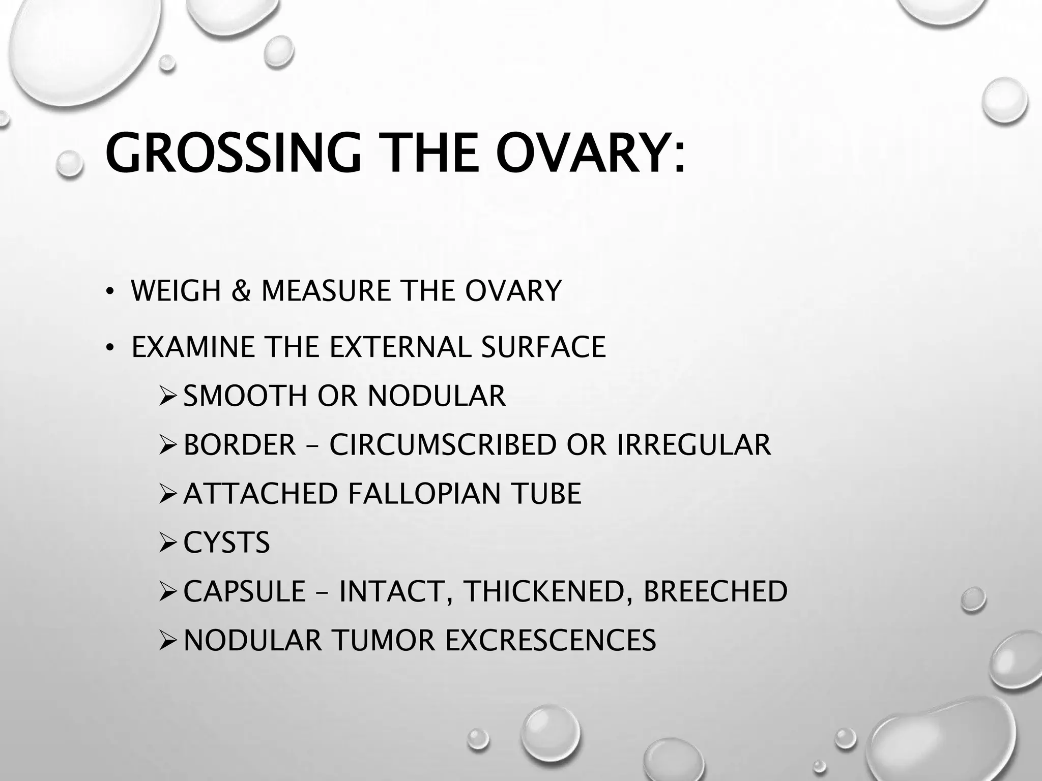 fallopian tube and ovary.pptx