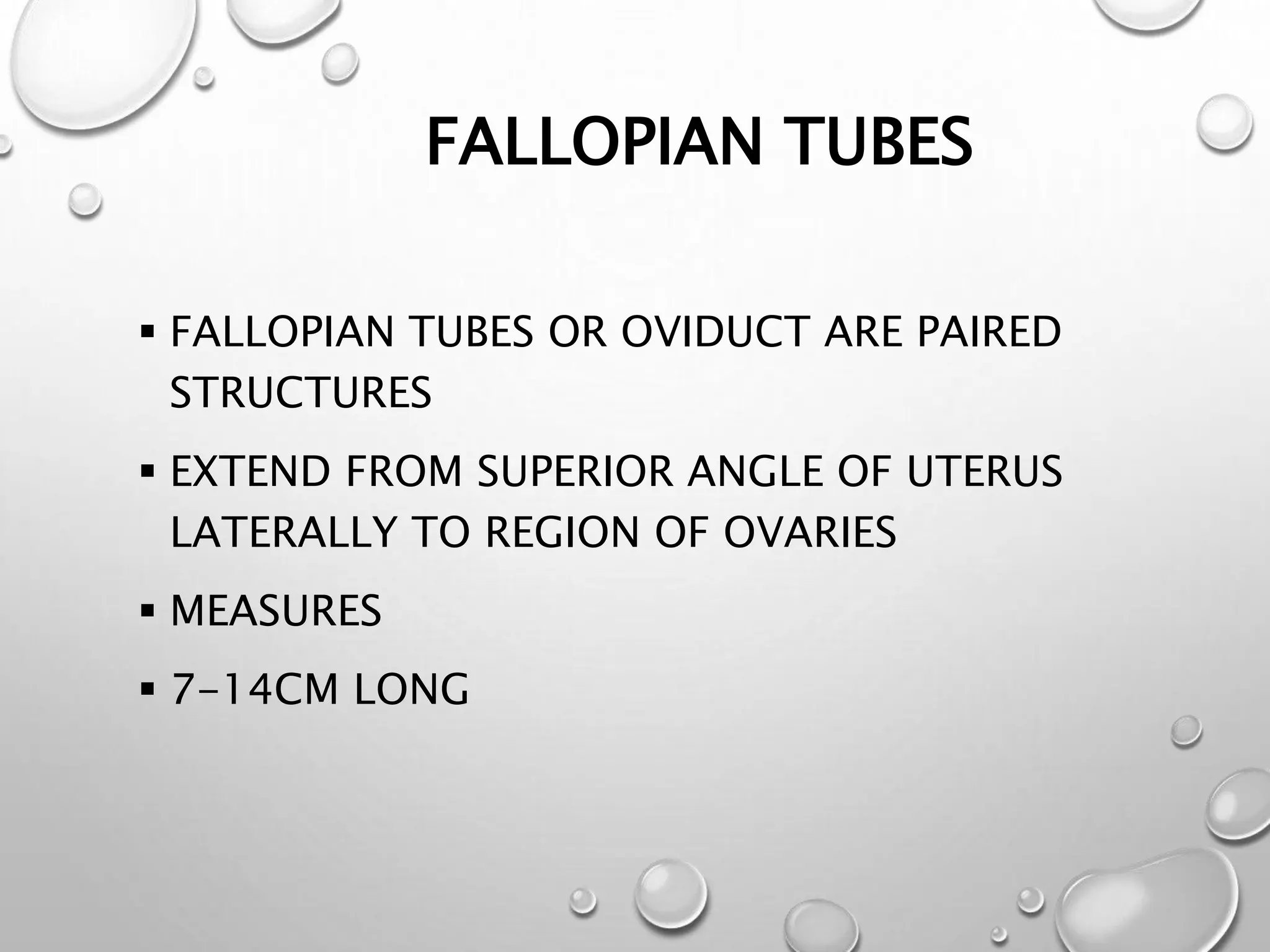 fallopian tube and ovary.pptx