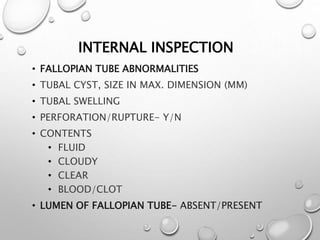 fallopian tube and ovary.pptx