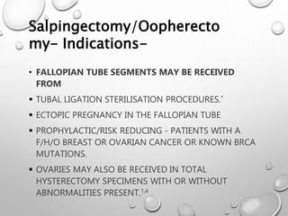 fallopian tube and ovary.pptx