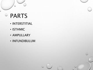 fallopian tube and ovary.pptx