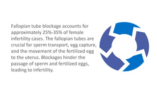 Fallopian Tube Blockage- Which Early Symptoms Are Most Often Overlooked ...