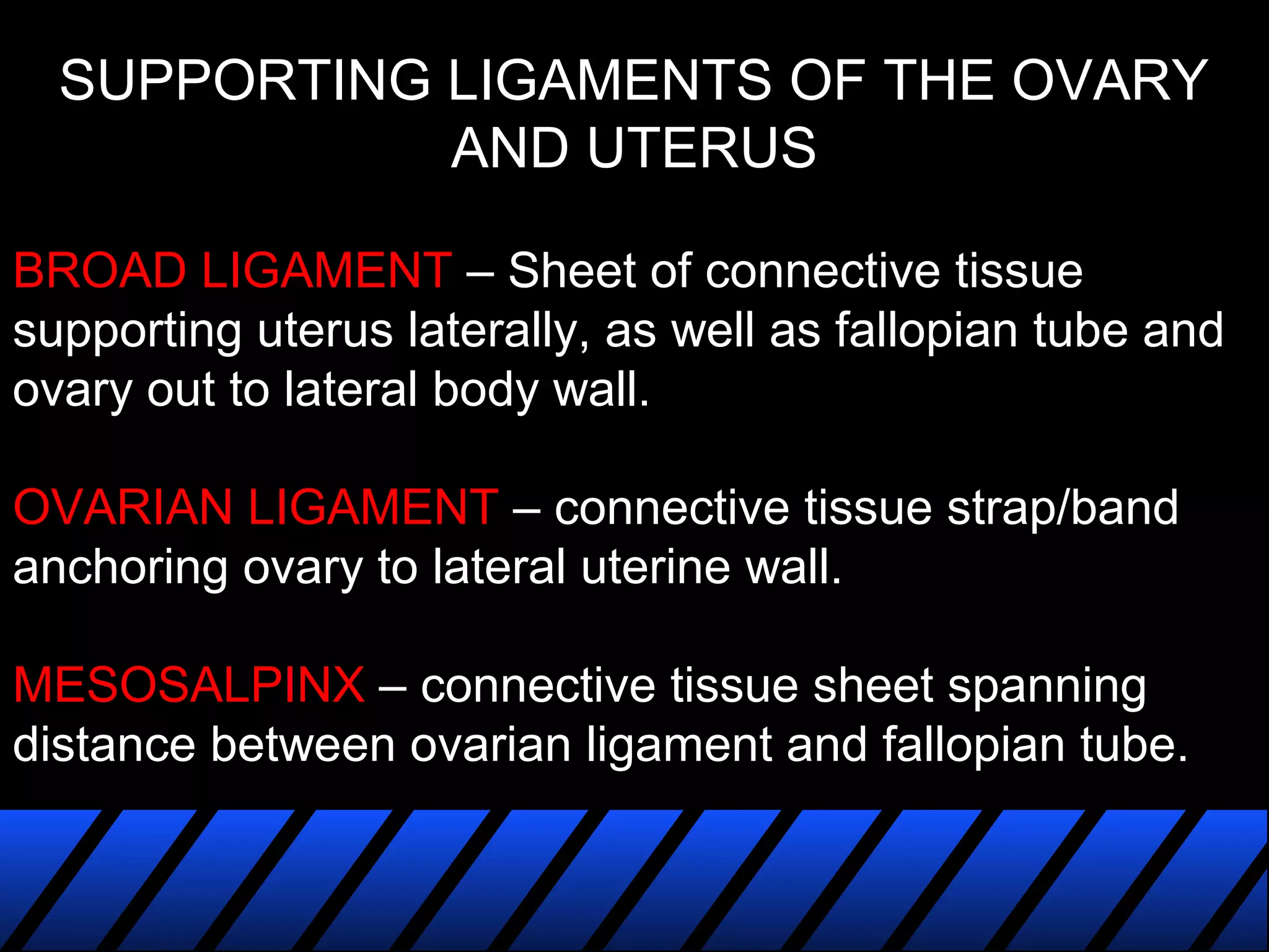 Fallopian tube radiology - Dr. Sumit Sharma | PPT