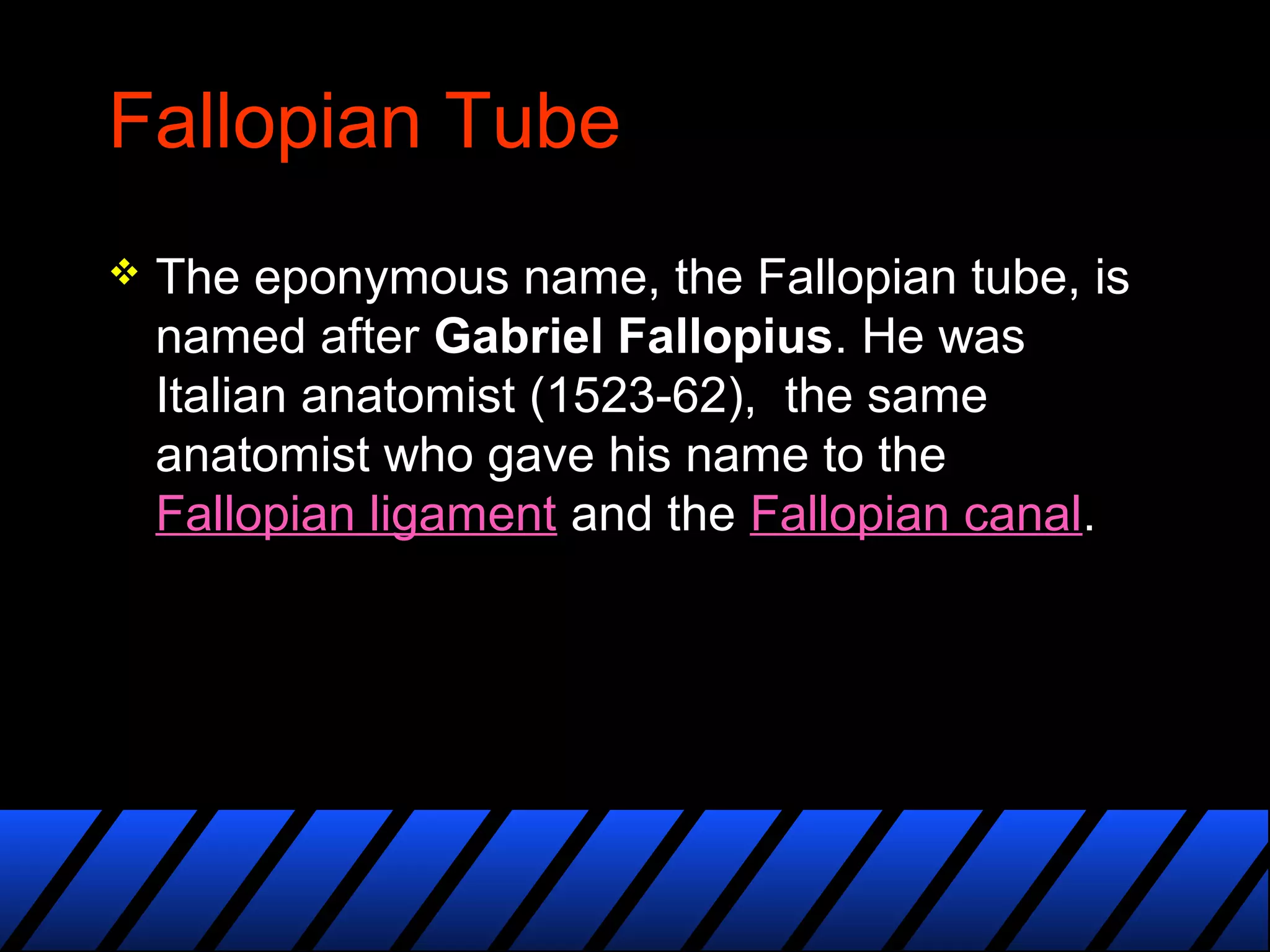 Fallopian tube radiology - Dr. Sumit Sharma | PPT
