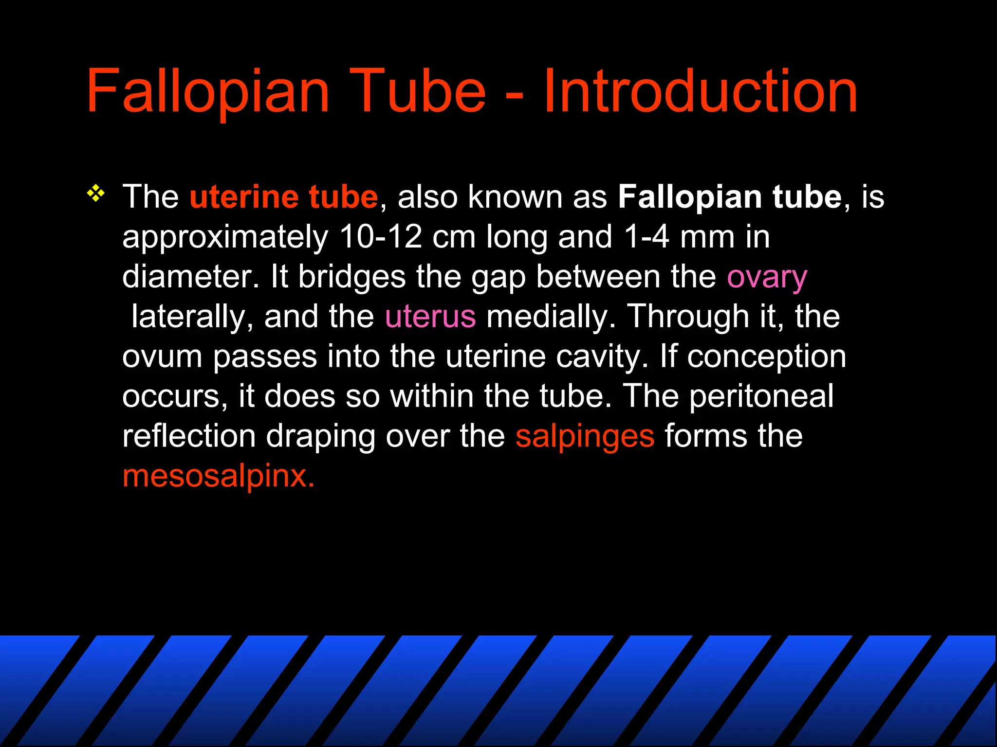 Fallopian tube radiology - Dr. Sumit Sharma | PPT