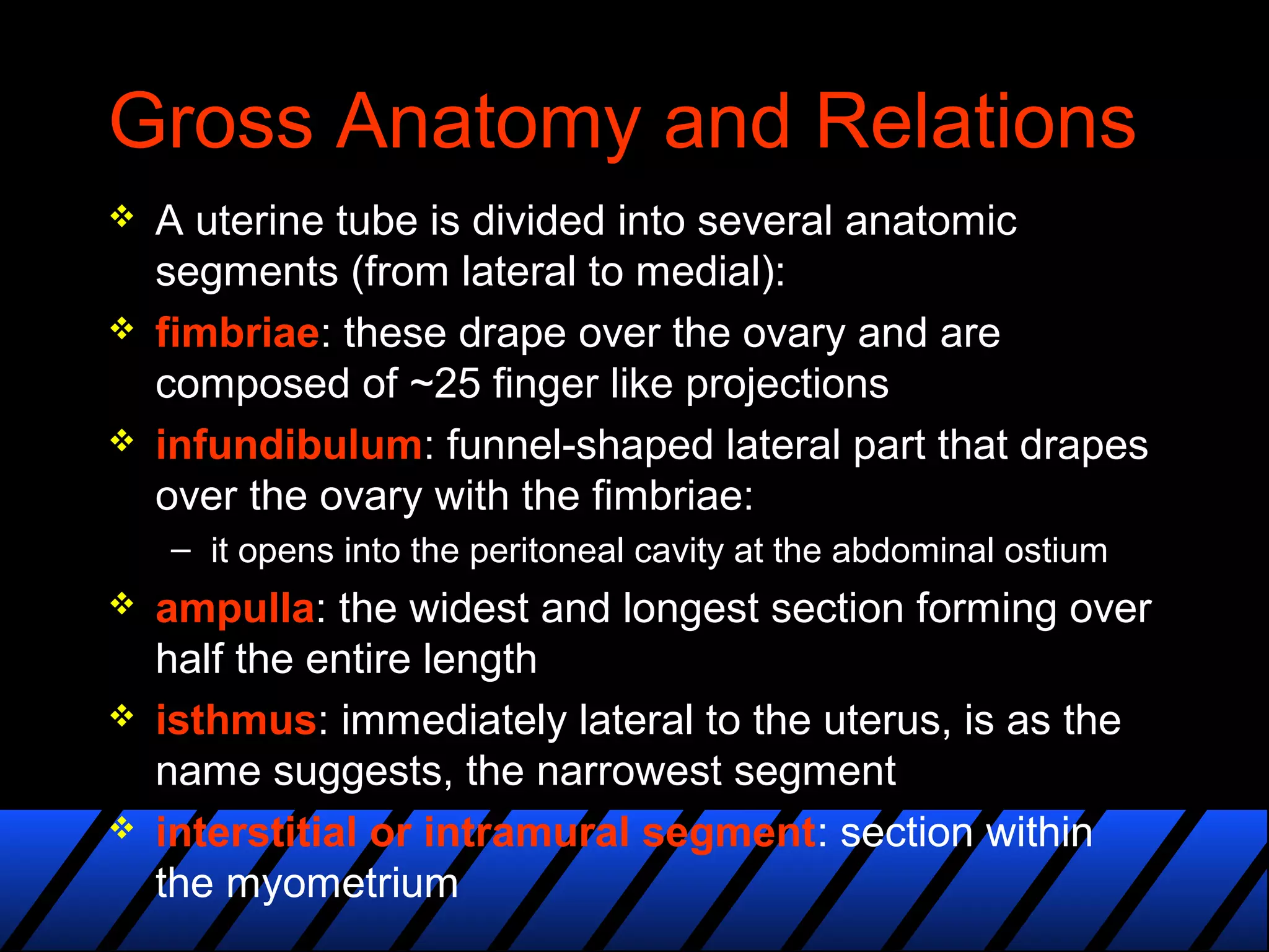 Fallopian tube radiology - Dr. Sumit Sharma | PPT