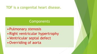 Fallot tetralogy and Ventricular septal defect - EMBRYOLOGY | PPT