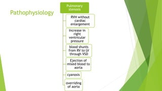 Fallot tetralogy and Ventricular septal defect - EMBRYOLOGY | PPT
