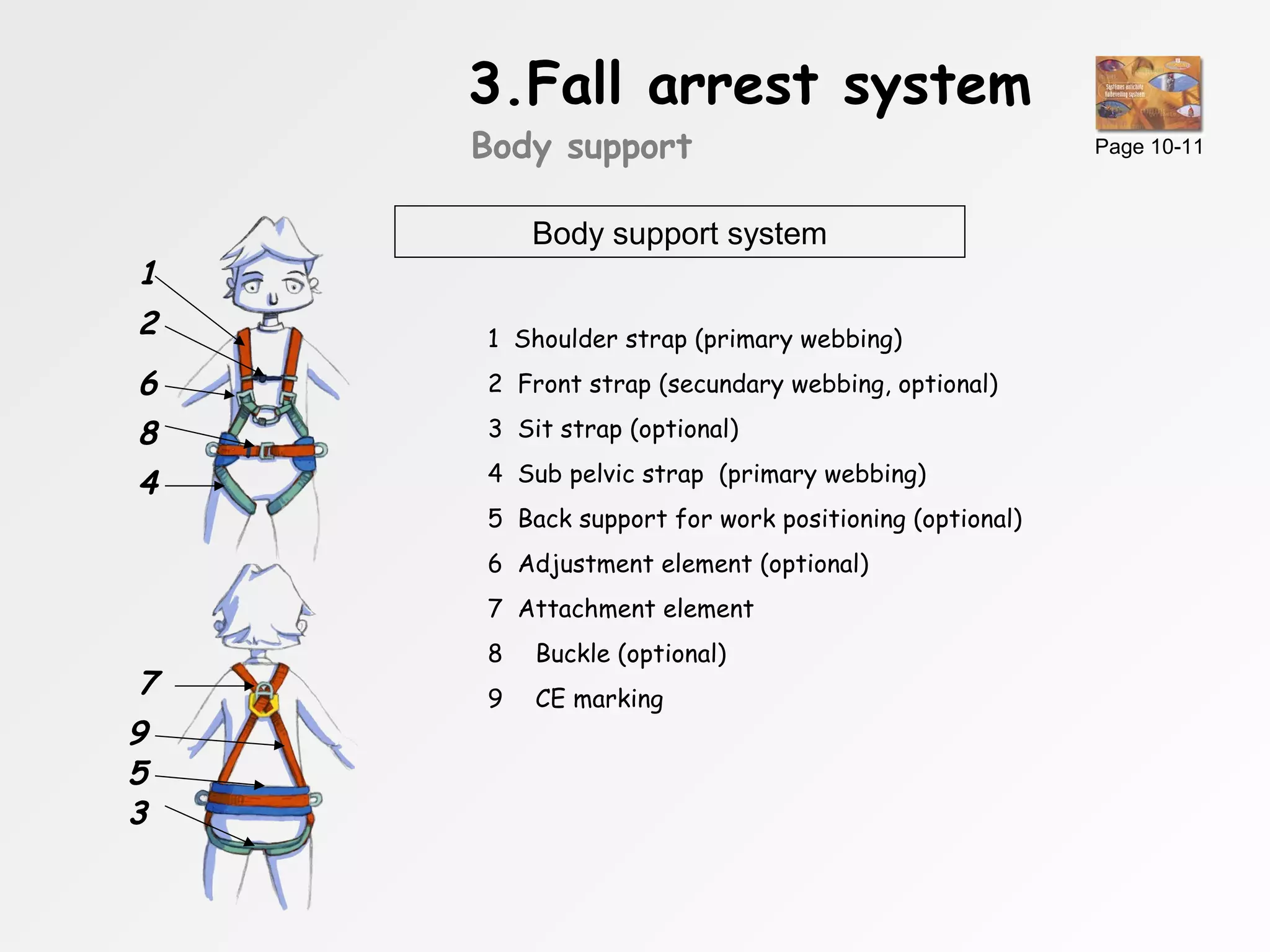 Fall protection | PPT