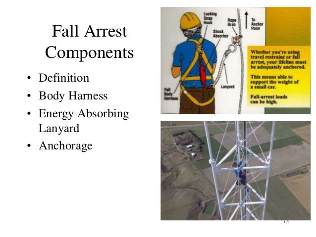 Types Of Fall Protection