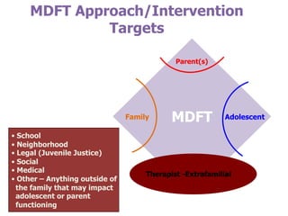 SFT & EB Approaches emerging from Structural Tradition: Therapy Process ...