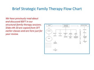 SFT & EB Approaches emerging from Structural Tradition: Therapy Process ...