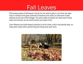 Fall Pet Safety Hazards to Watch Out For | PDF